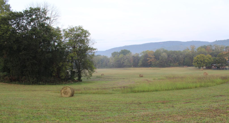 City of Graysville - Home